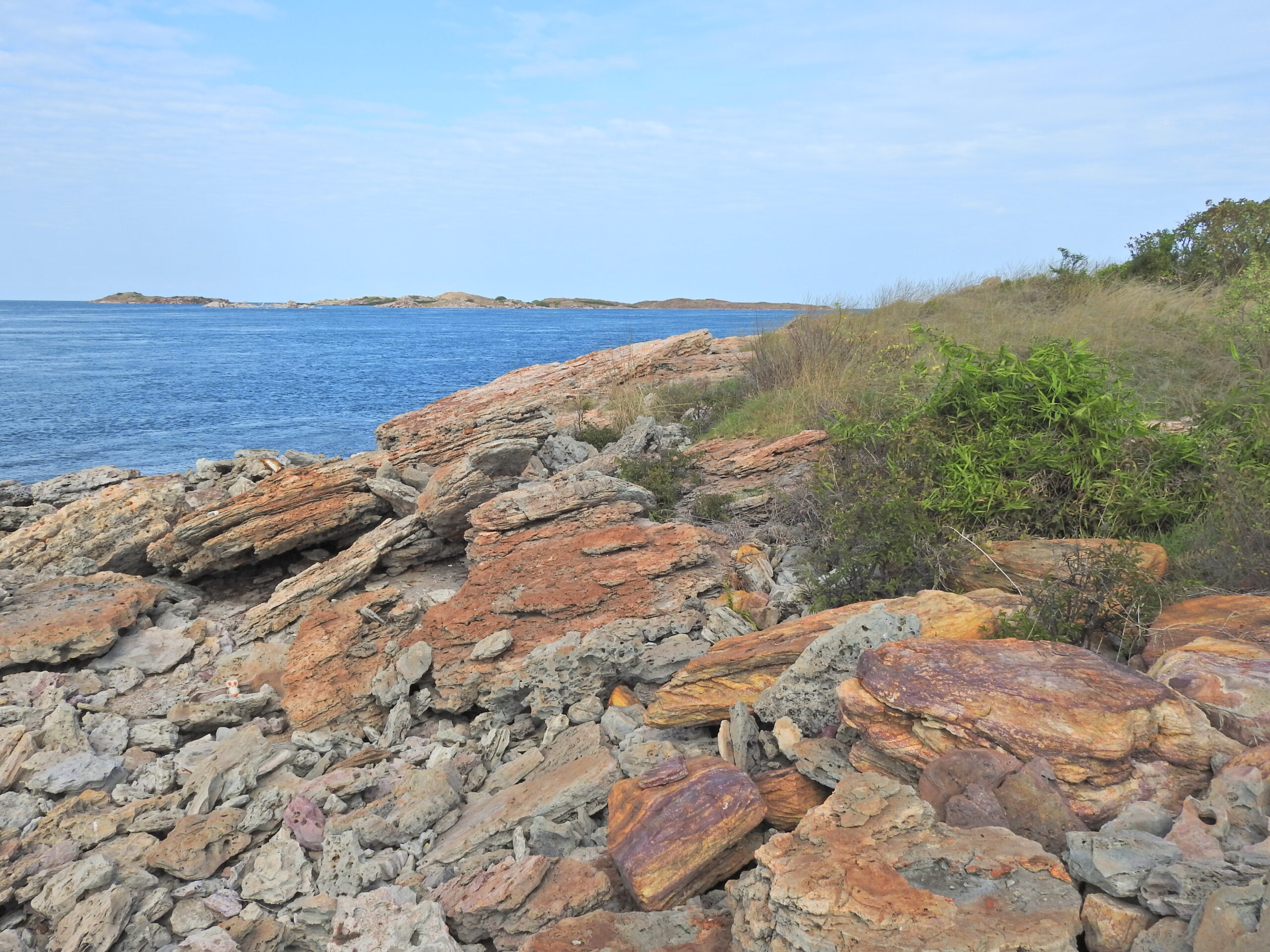 One Arm Point WA – The Bird Surveyors